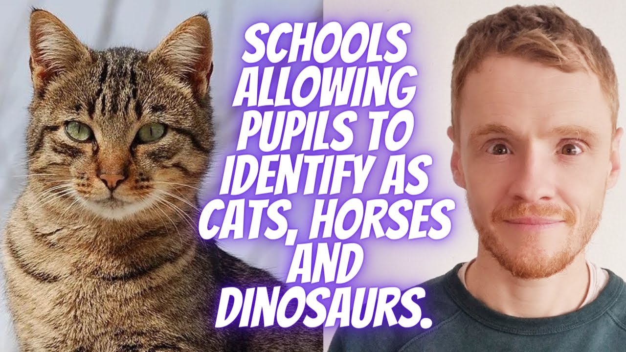 Schools allowing pupils to identify as cats, horses and dinosaurs ...