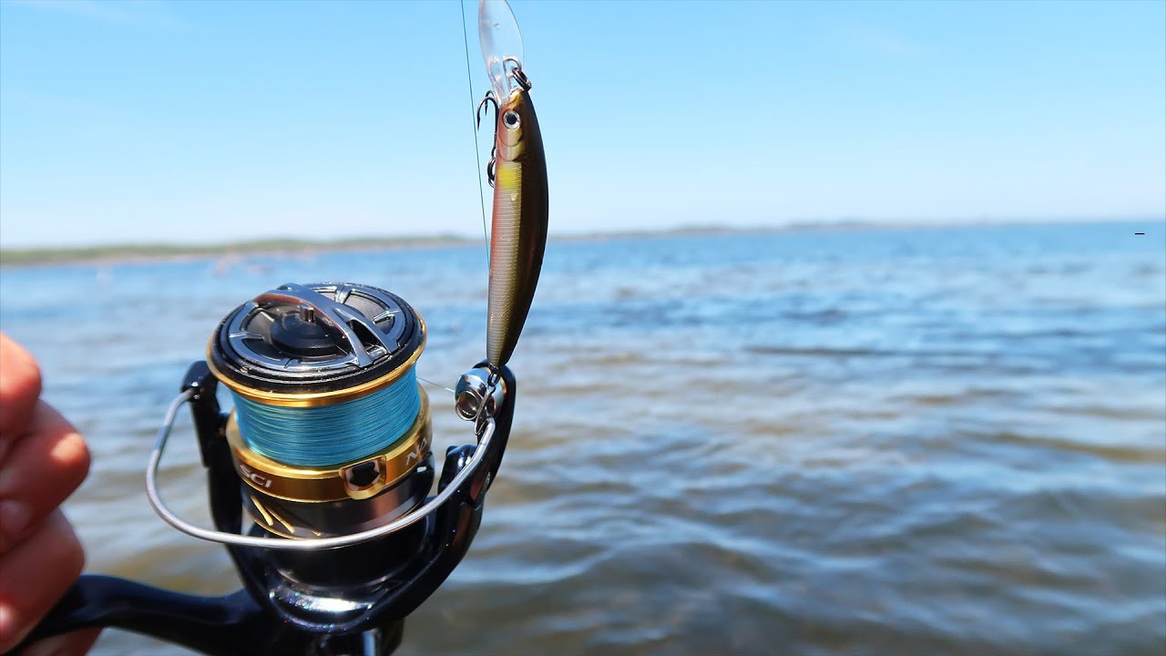 Light Tackle Estuary Fishing! - YouTube