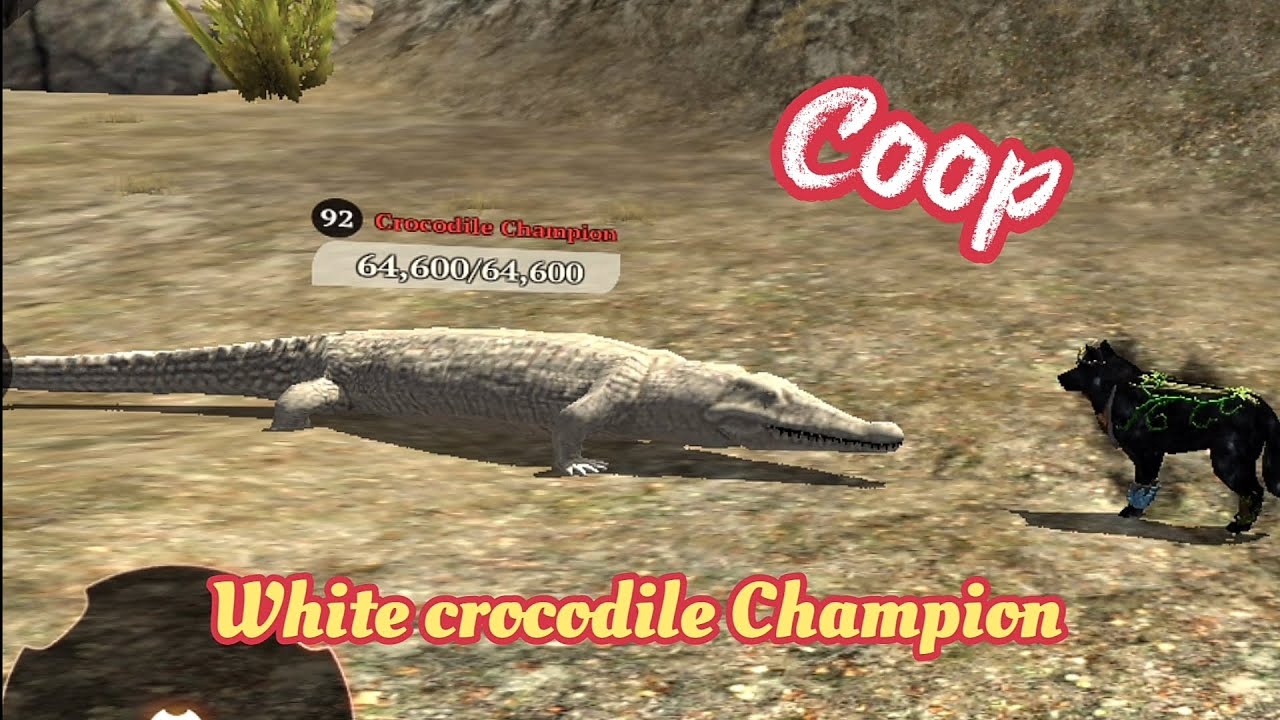 the wolf - CC was the best champion at that time #thewolf - YouTube