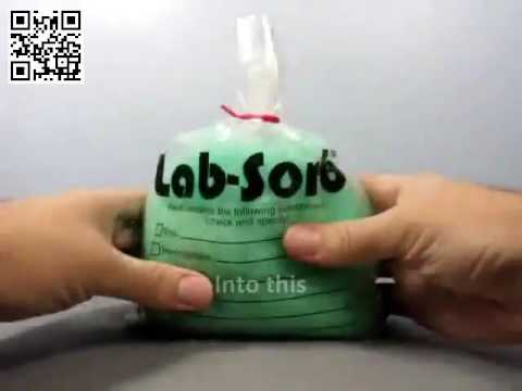 Lab Sorb - Dominique Dutscher - YouTube
