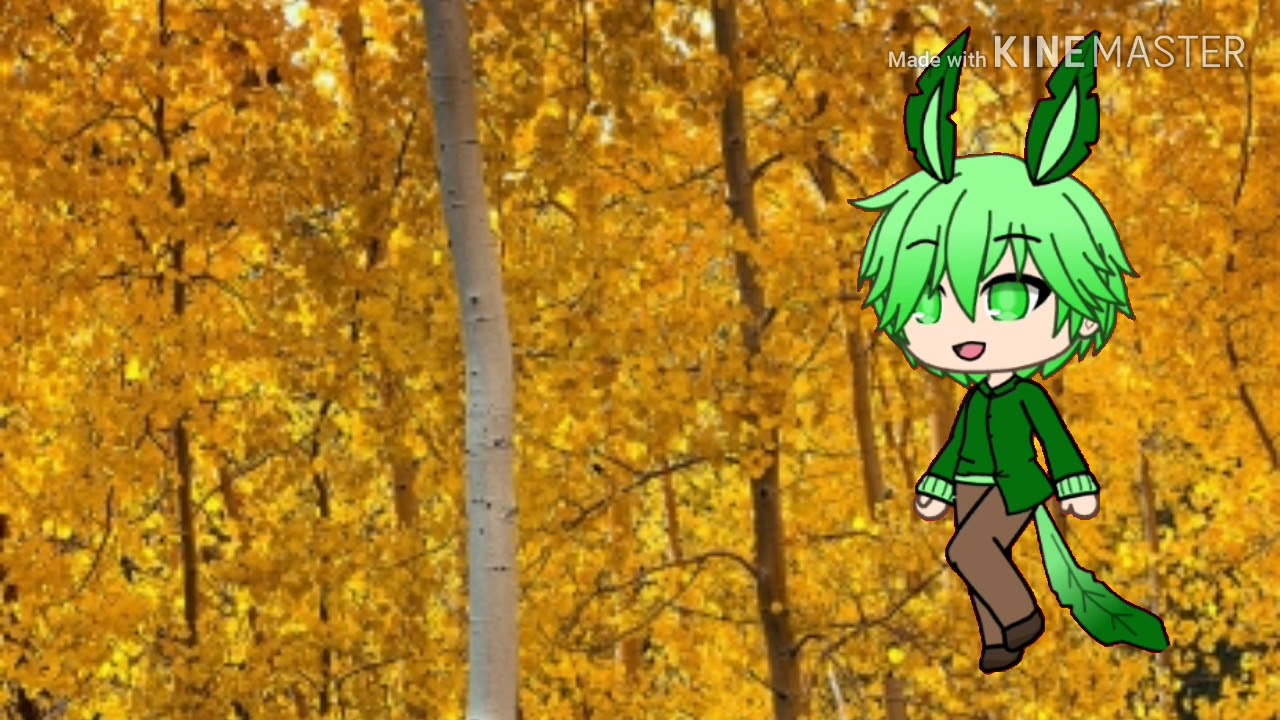 Aspen Tree || Gacha Meme (GM) - YouTube