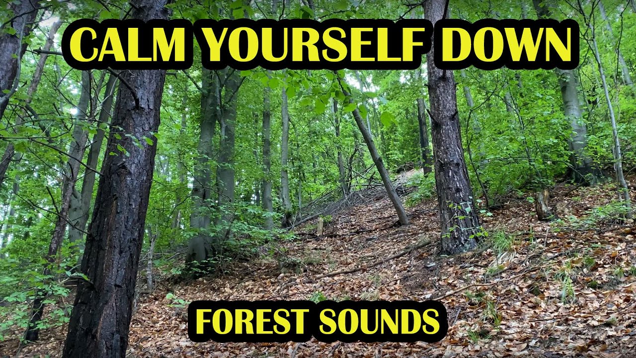 Relaxing video 25 - Calm yourself down - 30 MINUTES OF RELAXING NATURE ...