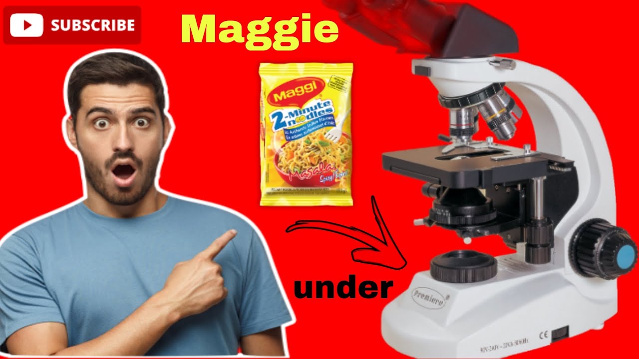 Maggie Magnified: A Close-Up View under the Microscope. Maggie ...