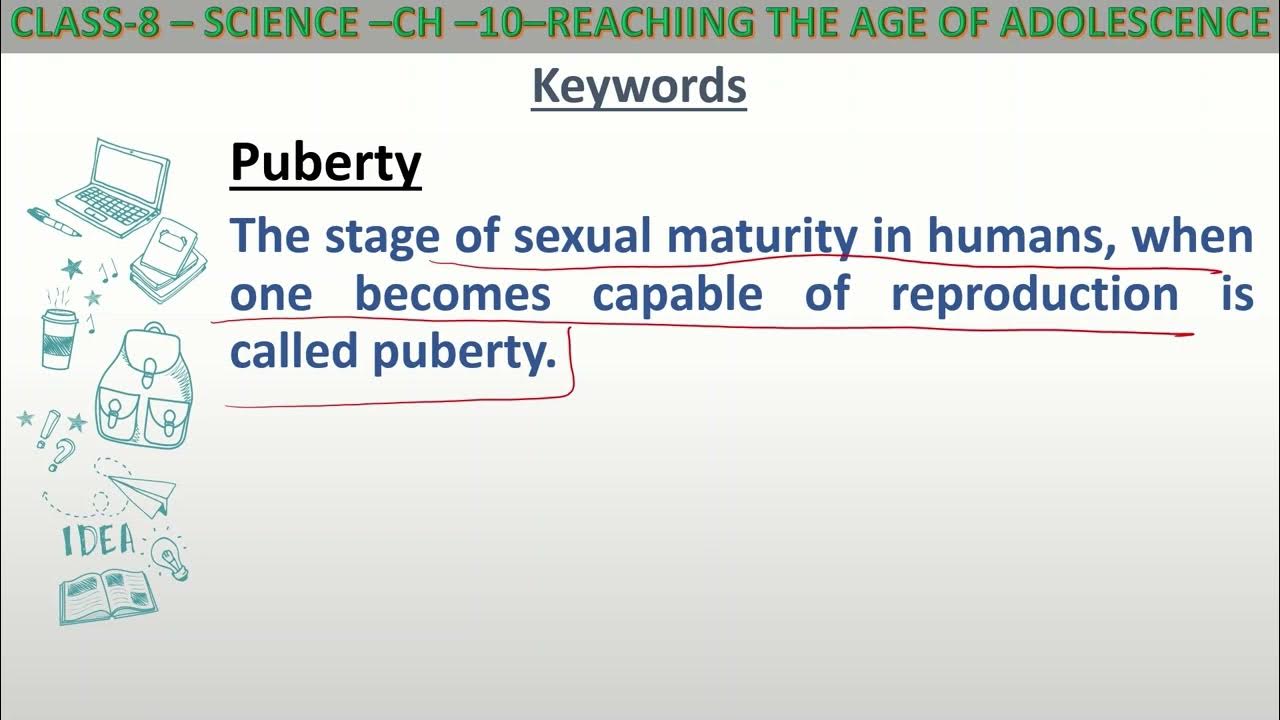 Definition of Puberty for class 8 science. - YouTube
