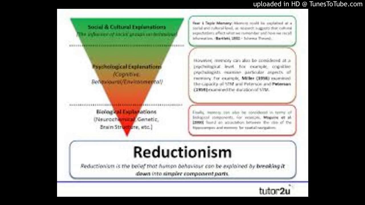 reductionist and non reductionist perspective A Critique of ...