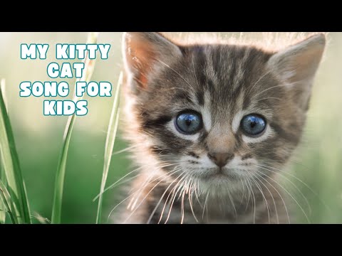 Cat song | Childrens song | Cat song for kids | Kitten | Cute baby ...