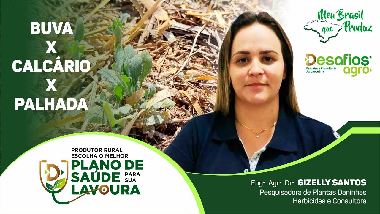 Manejo de Buva x Calcário x Palhada, o que você precisa saber. - YouTube