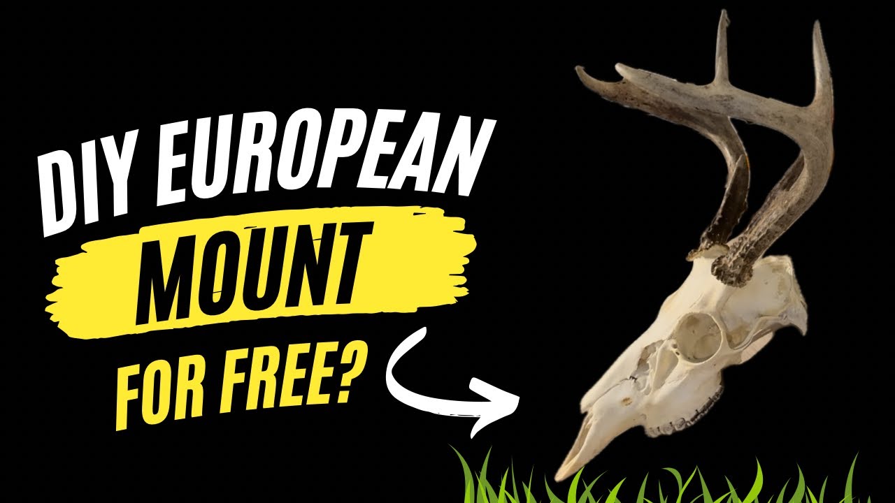 DIY European Mount | For Free - YouTube