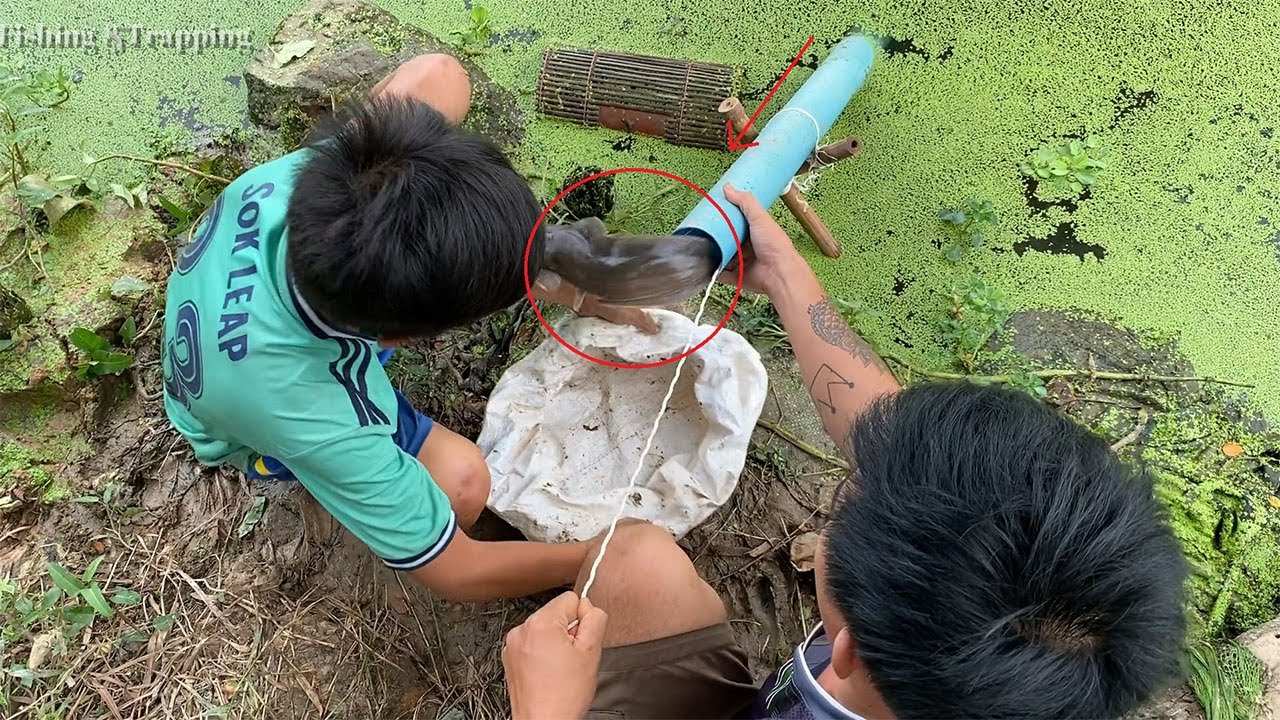 How To Build Survival Fish Trap to Catch Lot Of Big Fish - [Fishing ...