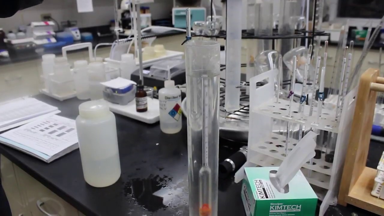 Commonwealth Agri-Energy, LLC | 2017 Small Category Winner - YouTube