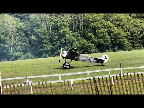 WWI German 1918 Fokker E.V/D.VIII | Old Rhinebeck Aerodrome Airshow 2024