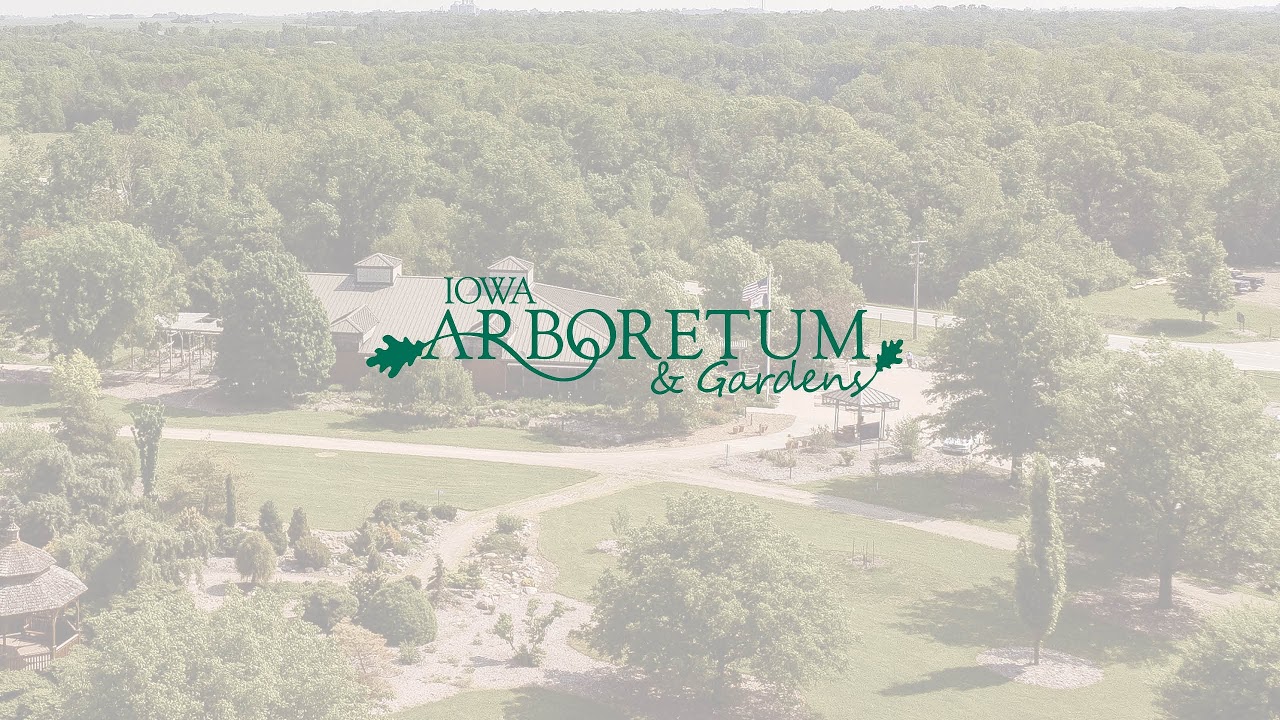 Iowa Arboretum & Gardens Live Stream - YouTube