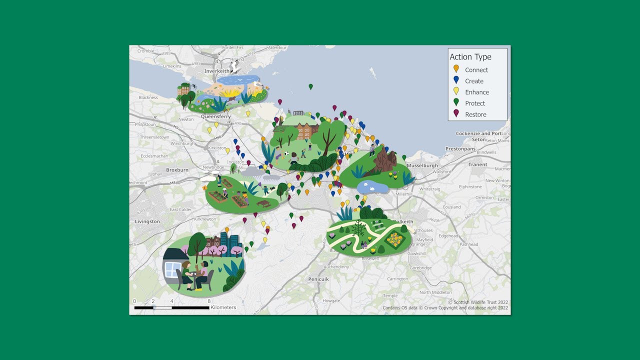 How nature networks are making a difference - YouTube