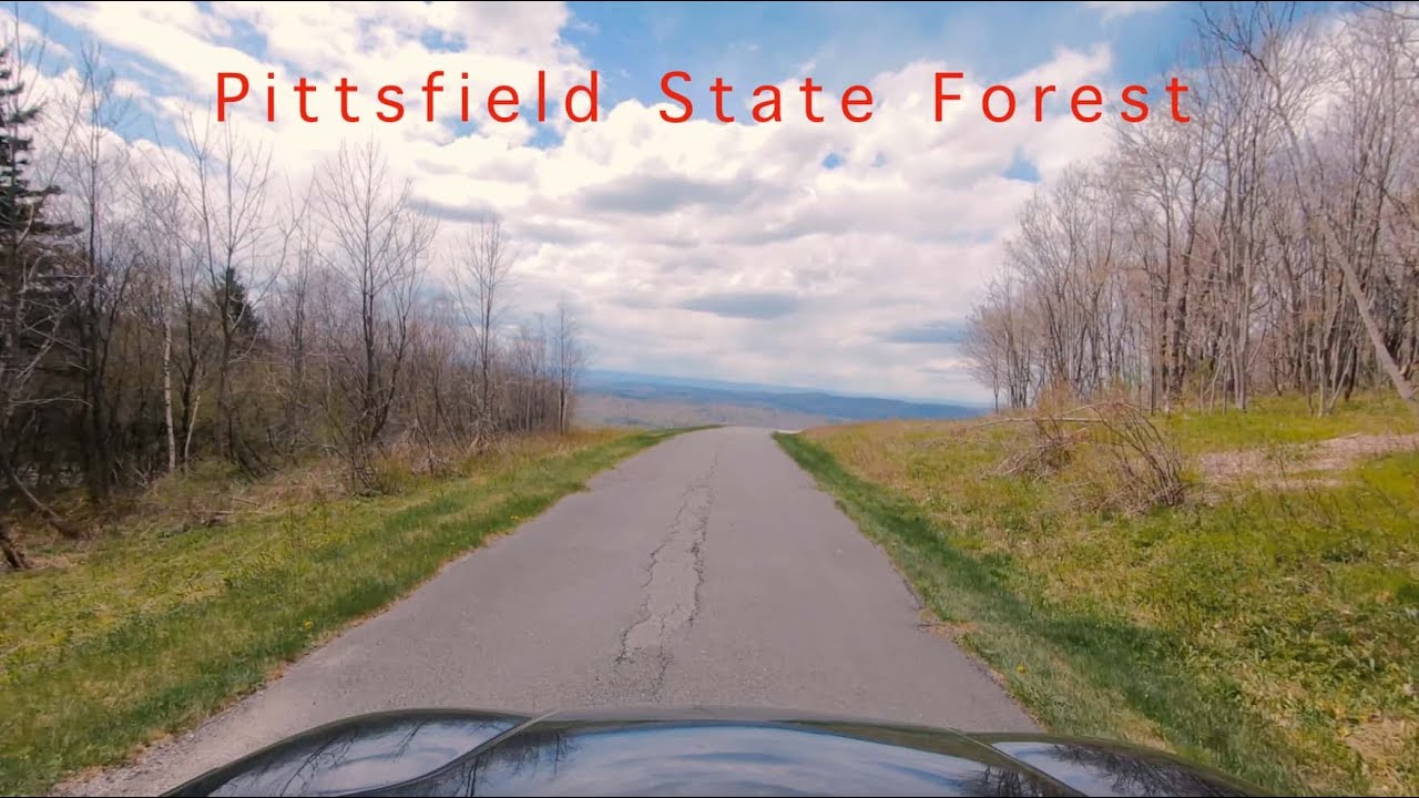 Pittsfield State Forest Spring (4K) - YouTube