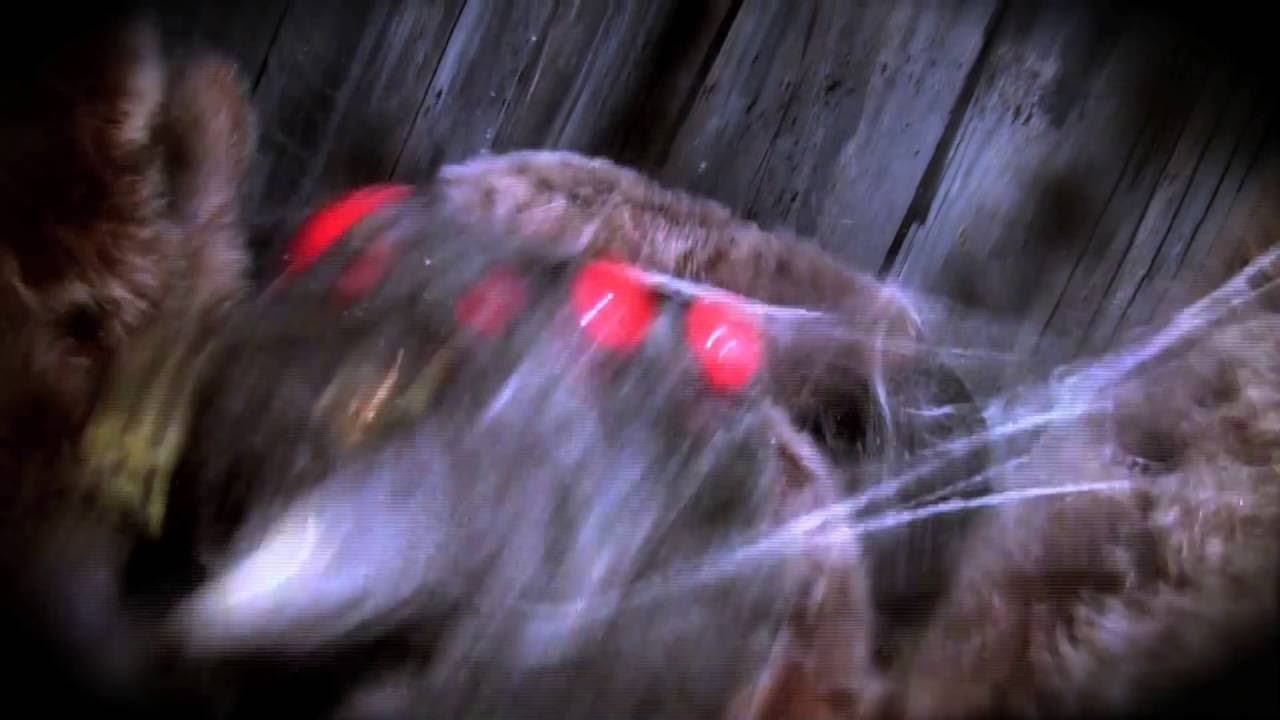 Animated Attack Spider - Halloween Prop - YouTube