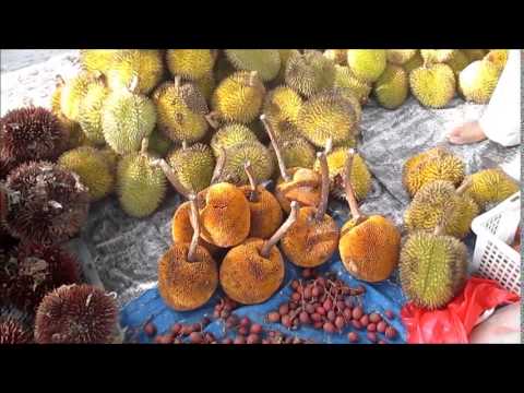 Wild fruits of Borneo, part 1overview - YouTube