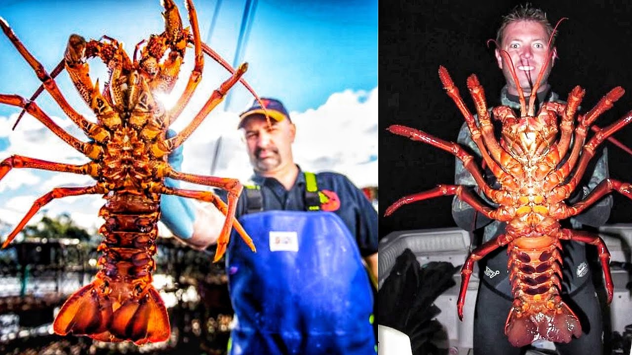 Iska dil sarpe hota hai😱| Billi ka puch hai bohot khas & Random Amazing Facts | Flickers Facts ...