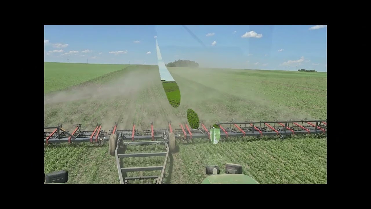 Harrowing Hard Red Spring Wheat on a sunny June day in Saskatchewan ...