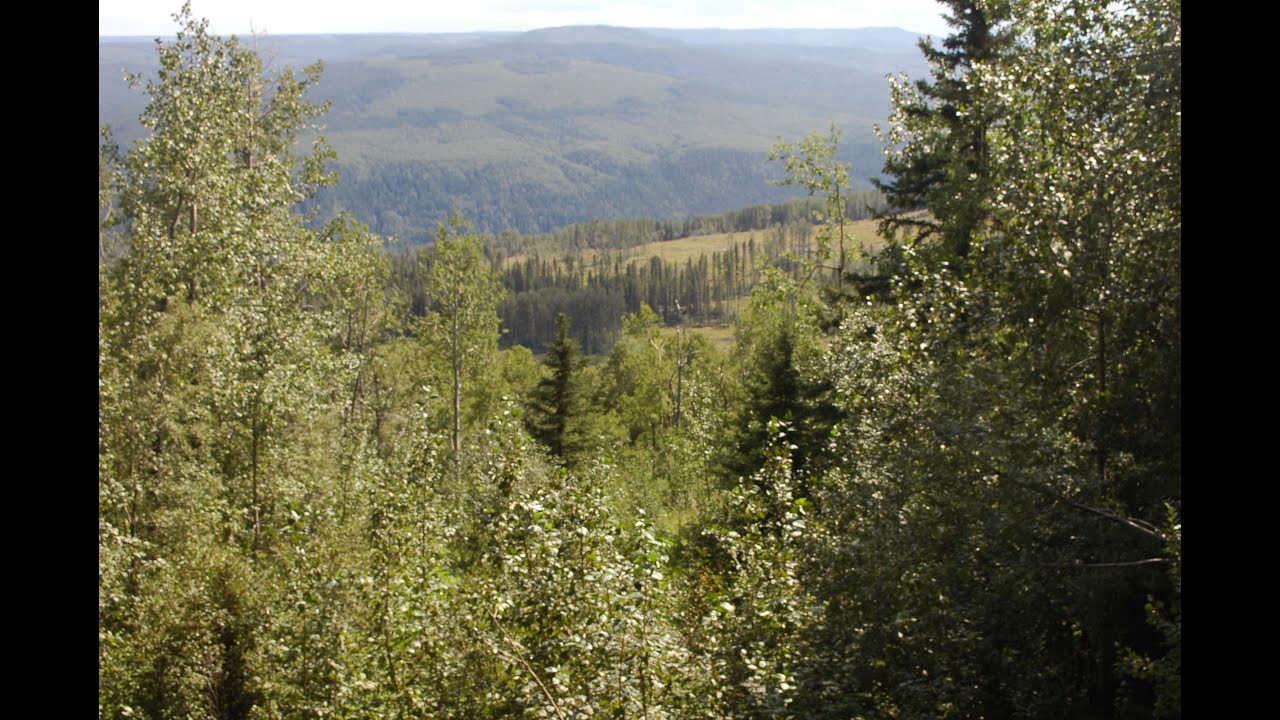 Scenic Lookout North of Grande Cache - YouTube