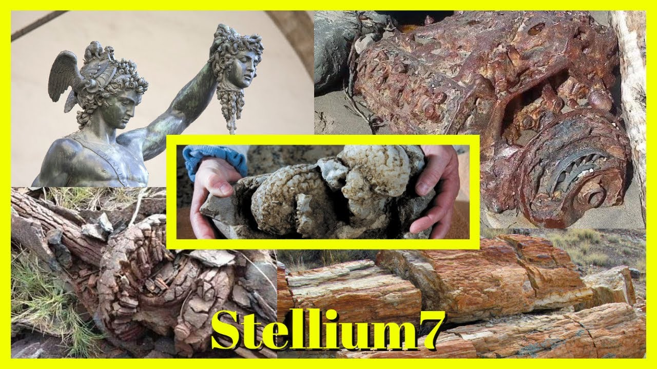 Rapid Petrification is a FACT - YouTube