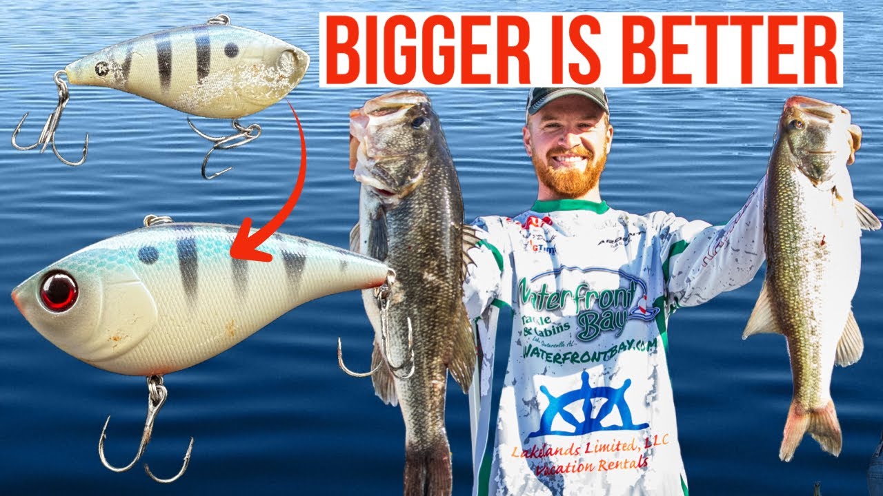 Fish A BIG Rattle Trap Lipless Crankbait in Winter Early Spring - YouTube