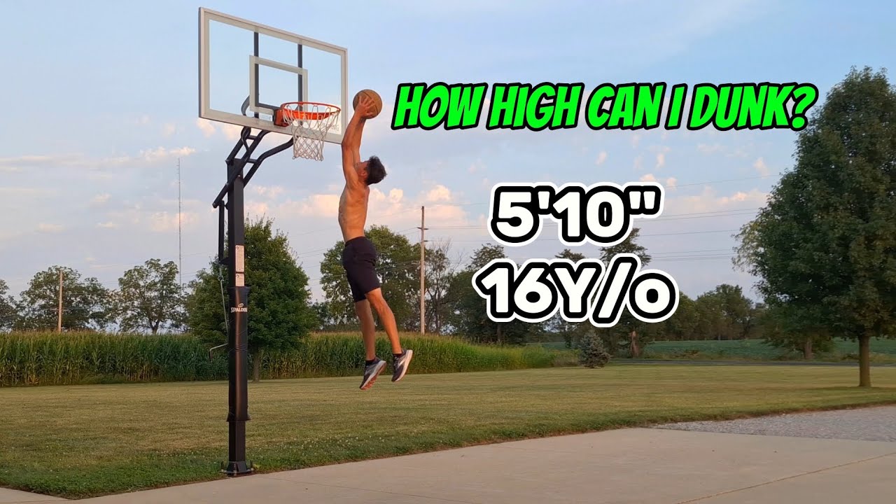 Dunking on Every Rim Height 🔥 Dunk Journey week 1 - YouTube