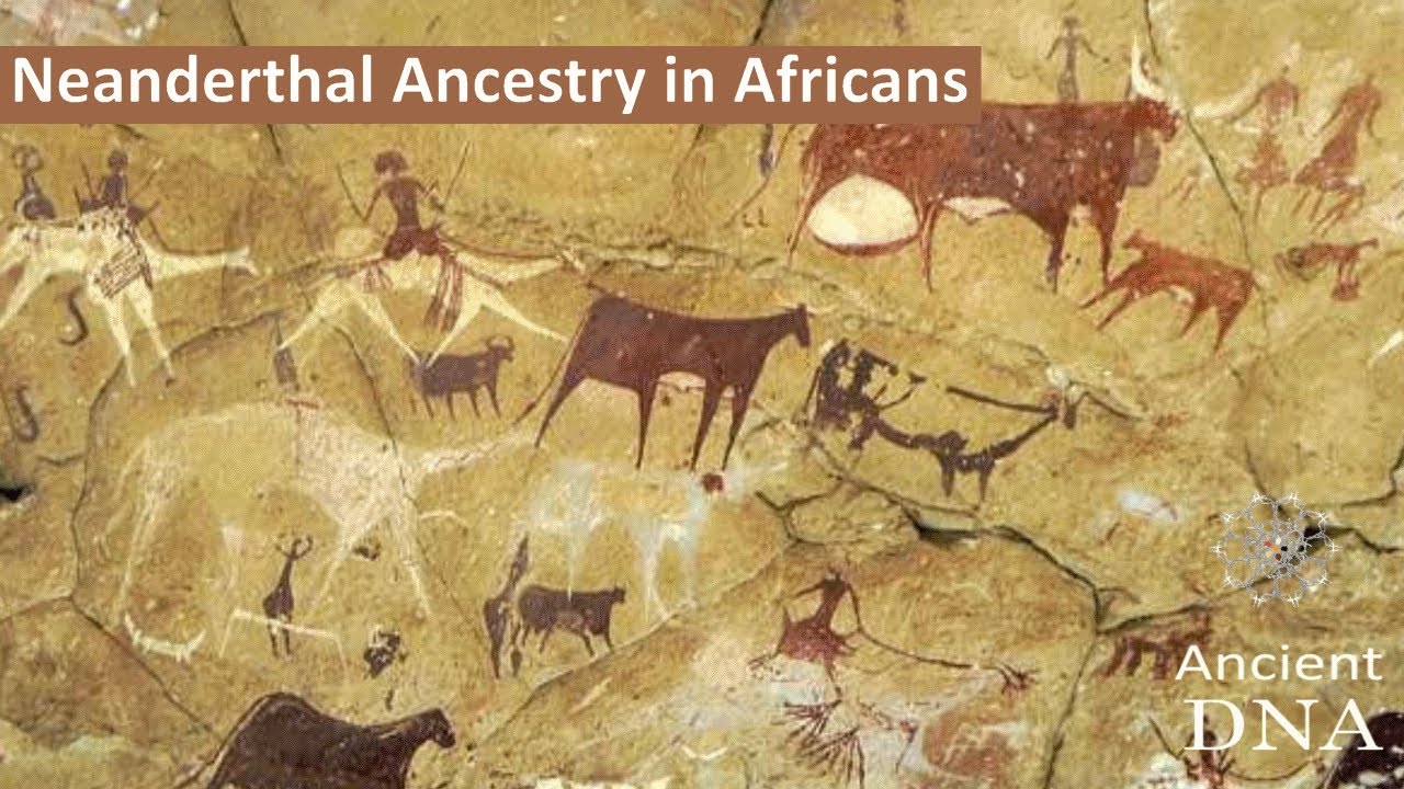 Neanderthal Ancestry in Africans - YouTube