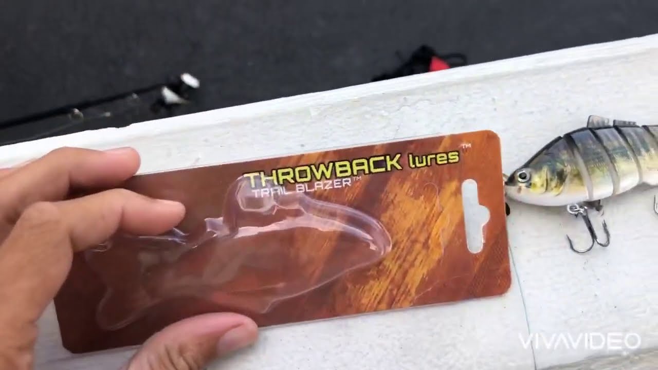 Bass fishing with the Trail Blazer swimbait by Throwback lures. - YouTube