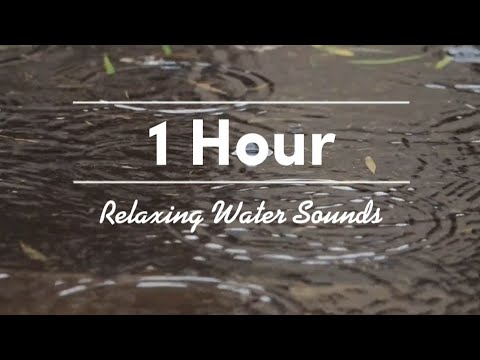 | 1 HOUR | Gentle Water Droplet Sounds for sleeping - YouTube
