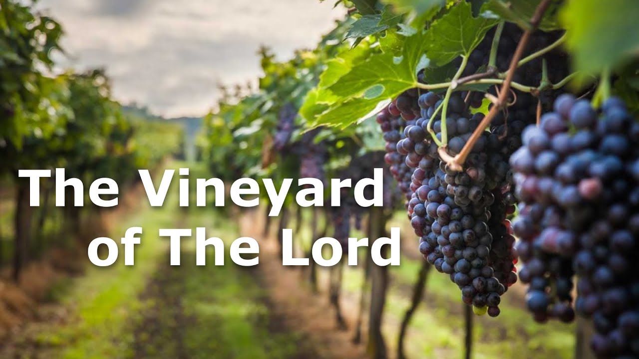 The Vineyard of The Lord, 3/1/25 @2:30PM, Sabbath Bible Study - YouTube