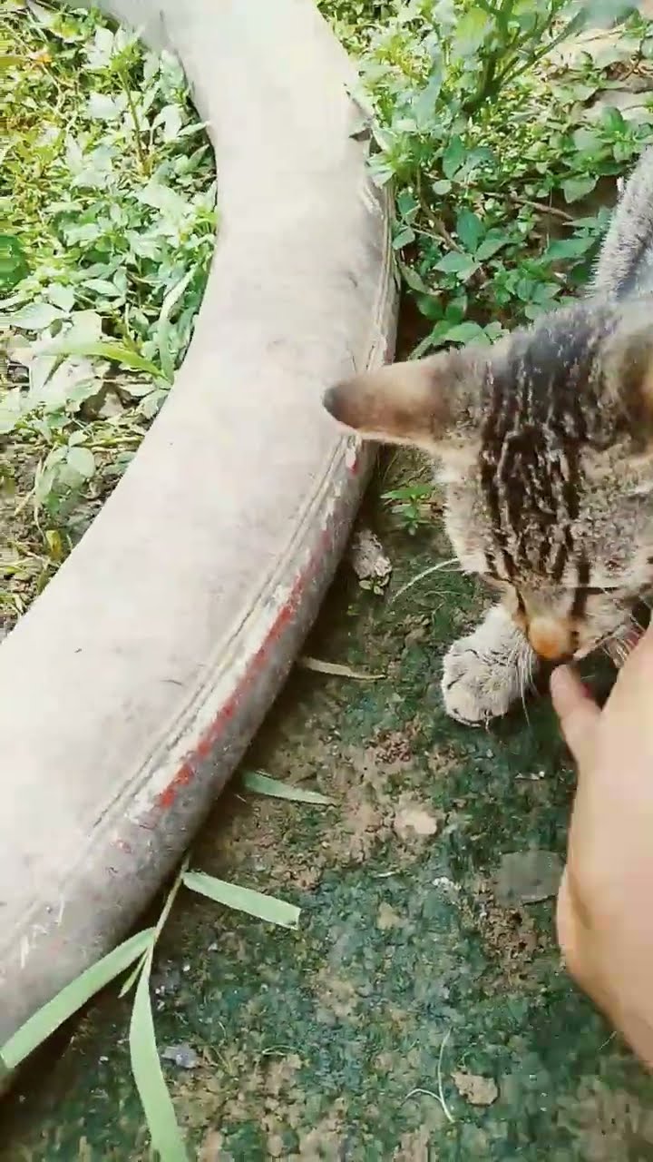 July 1, 2024 - YouTube