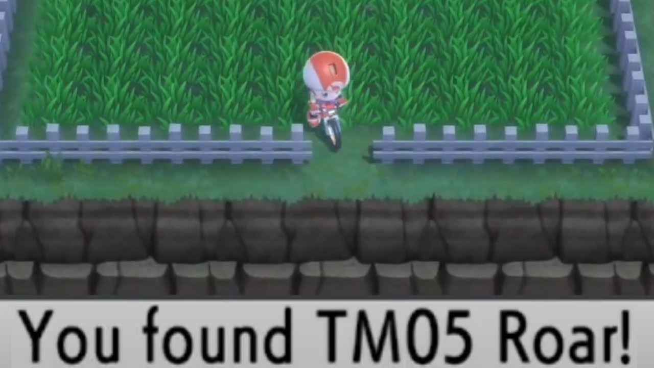 Roar TM Location (Route 213) - Pokemon Brilliant Diamond & Shining ...