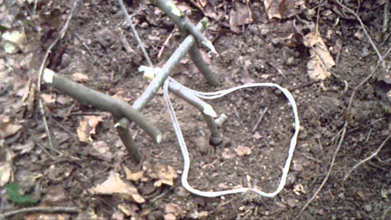 spring snare trap - YouTube