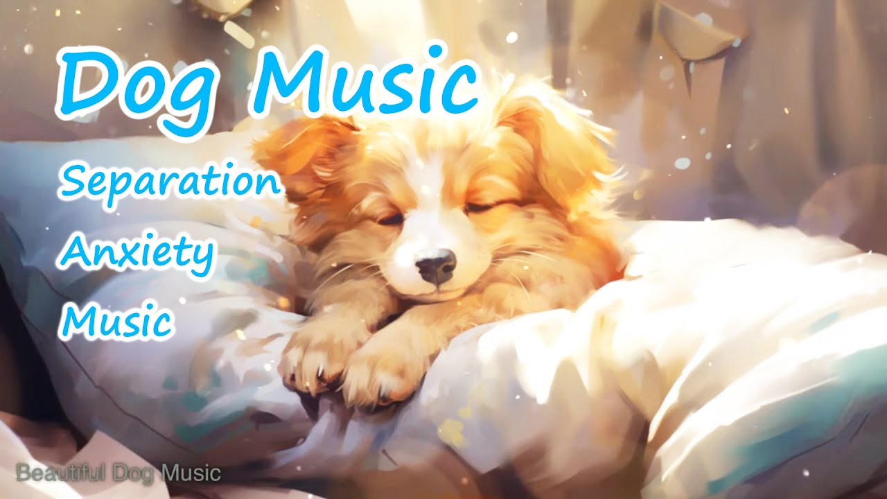 Relaxing Dog Music 🐶 Soothing Melodies to Calm Your Dog | Gentle Piano ...