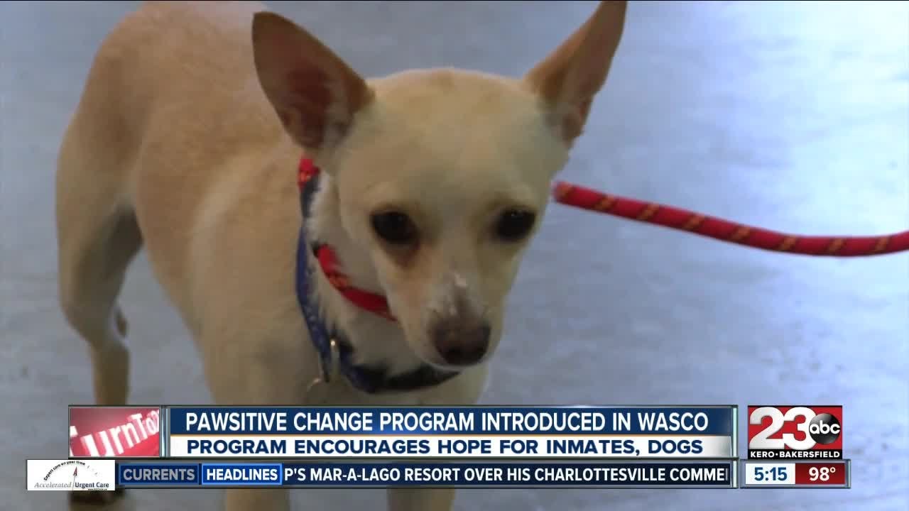 Marley's Mutts spreading Pawsitive Change program to Wasco State Prison ...