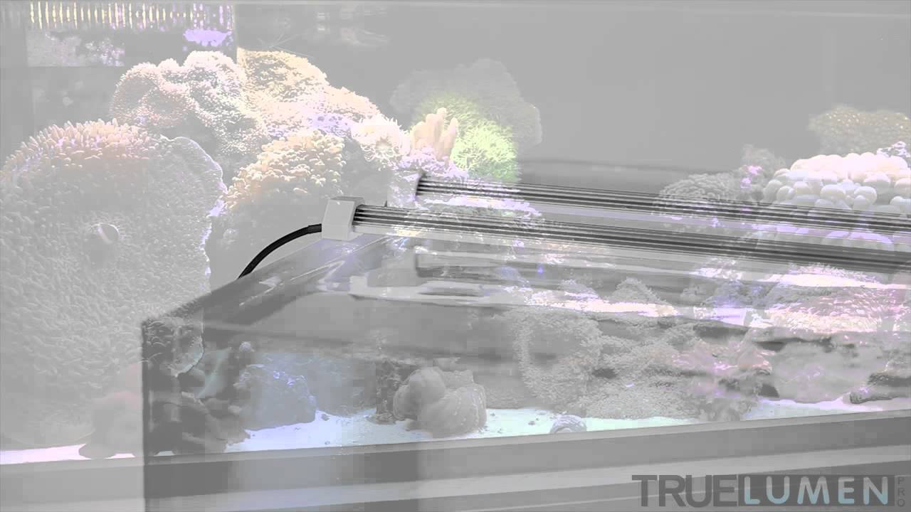 ADGVibe produced video: True Lumen Pro LED fixture from Current-USA ...