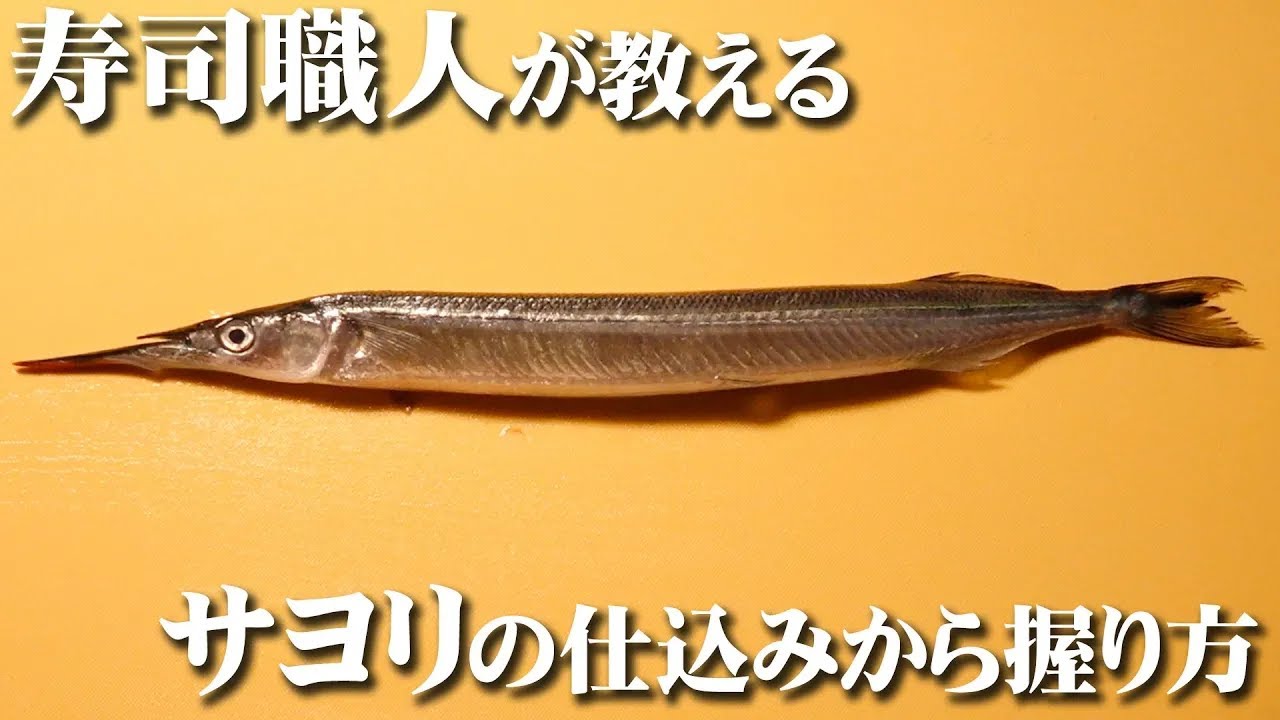 【サヨリ 寿司の仕込み】まるで青魚のような濃厚さのサヨリを寿司職人が握るHow to make Sajori Sushi - YouTube