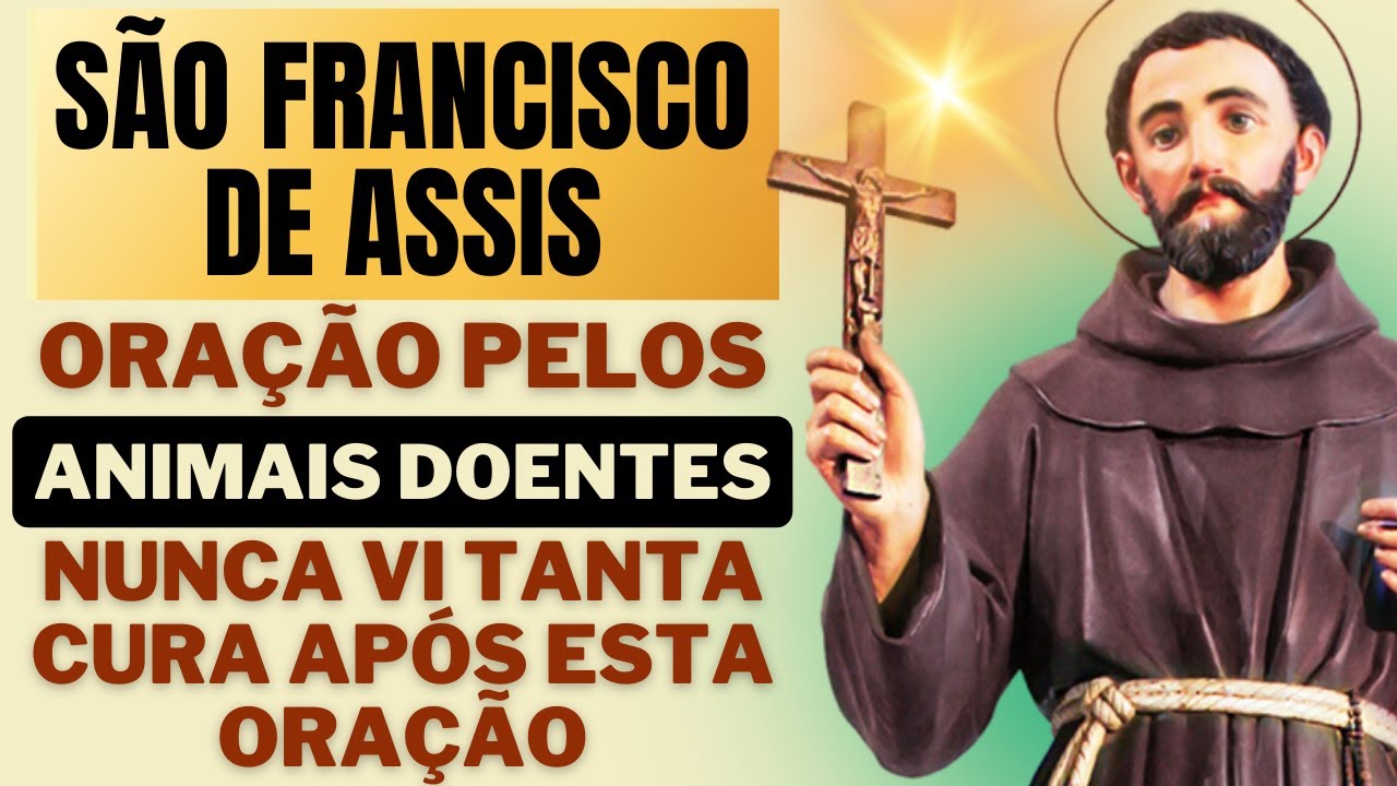 Oracao Para Animal Doente - FDPLEARN