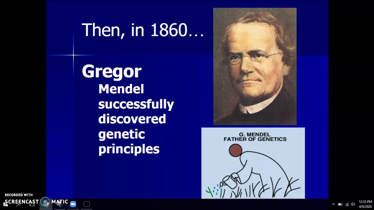 Intro to Genetics - YouTube