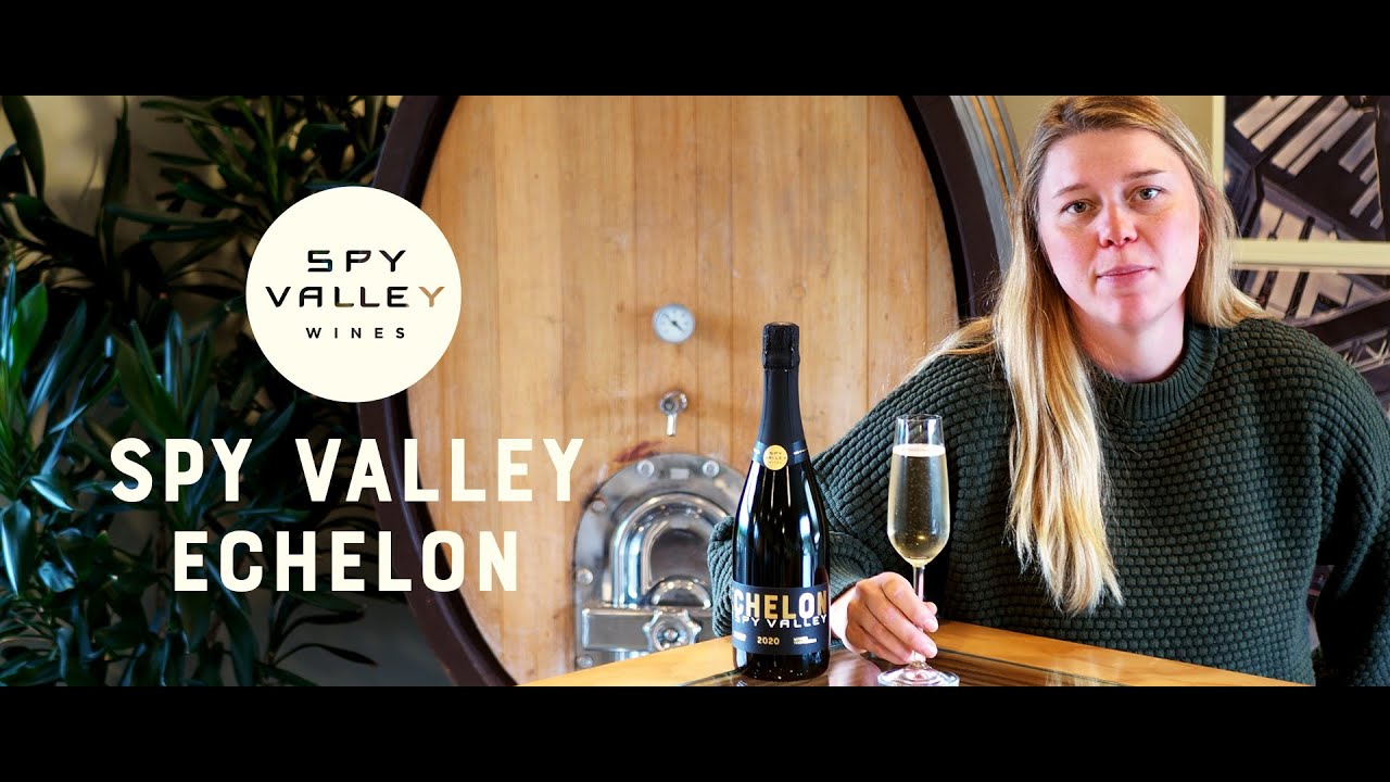 Agent Ashley Stace talks about operation Echelon - YouTube