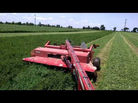 Mowing Hay with a John Deere 4440 - YouTube