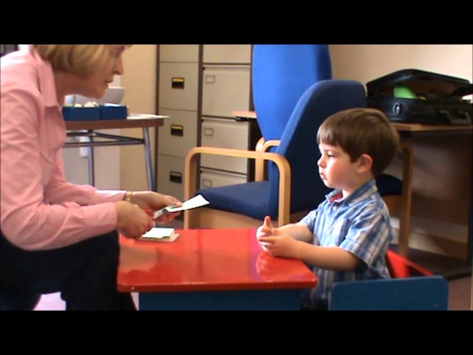 Griffiths Mental Development Scales 2-8 Years: Administration clips ...