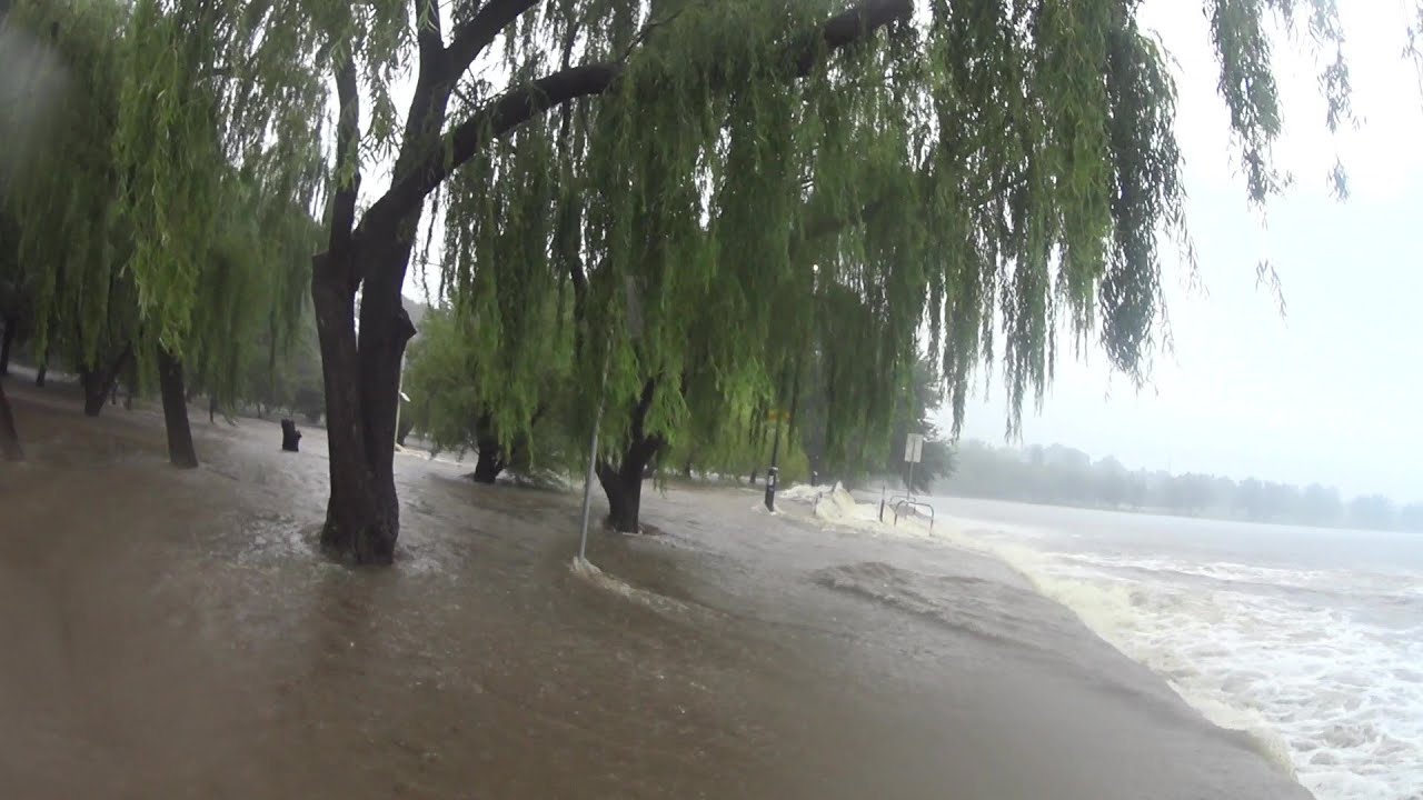 Bowen Park, Canberra, flash flood at the Drain, 13 January 2024 - YouTube