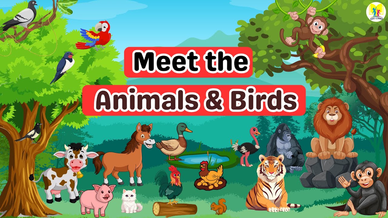 Farm and Wild Animals with their Sounds | Birds Names and Sounds | Kids ...