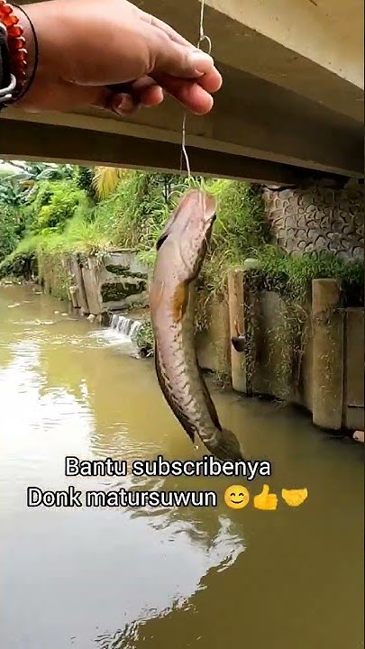 STRIKE BABY CHANNA CUTE 😀😄 #shorts - YouTube