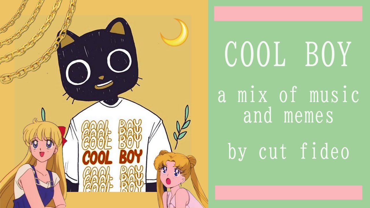 COOL BOY - a mix of music and memes - YouTube