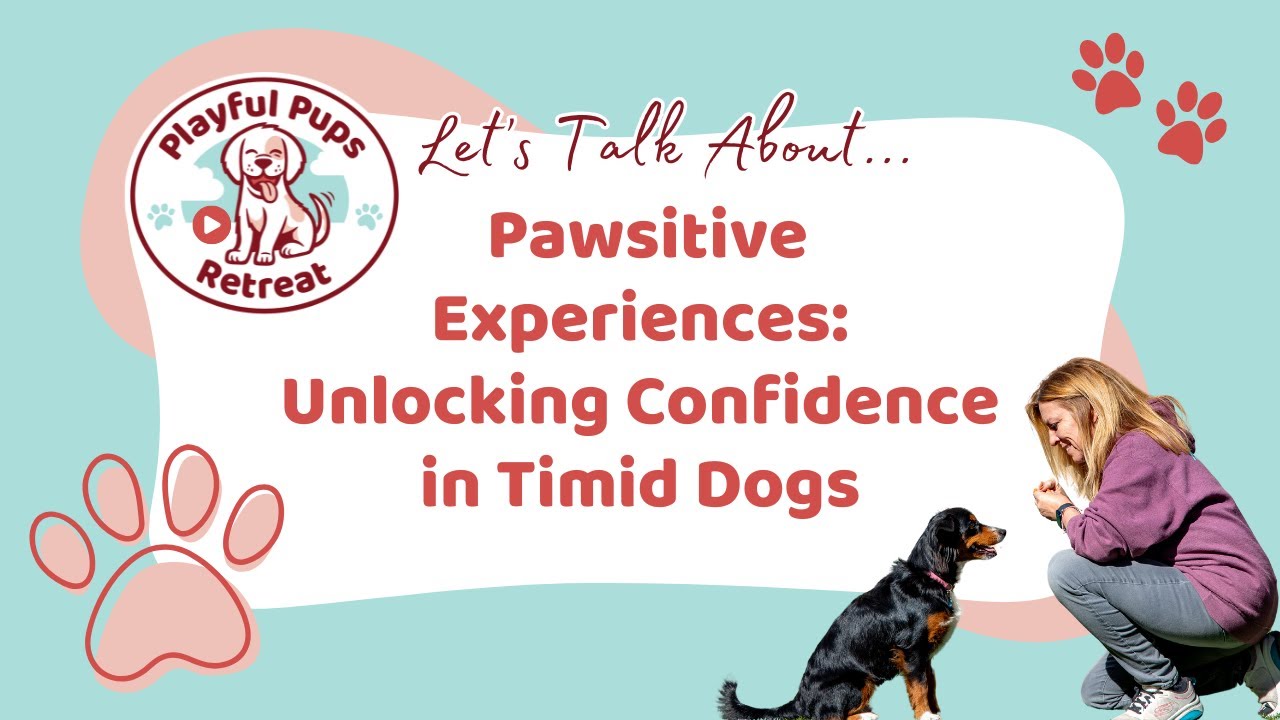 An Interview with Dog Trainer, Maria Stouffer on how to help your shy ...