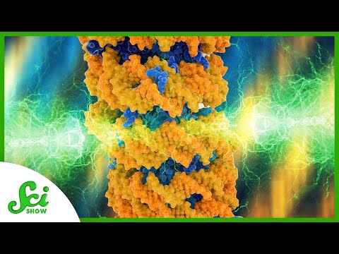 What the Worlds Smallest Tweezers Tell Us About DNA | Safe Videos for Kids