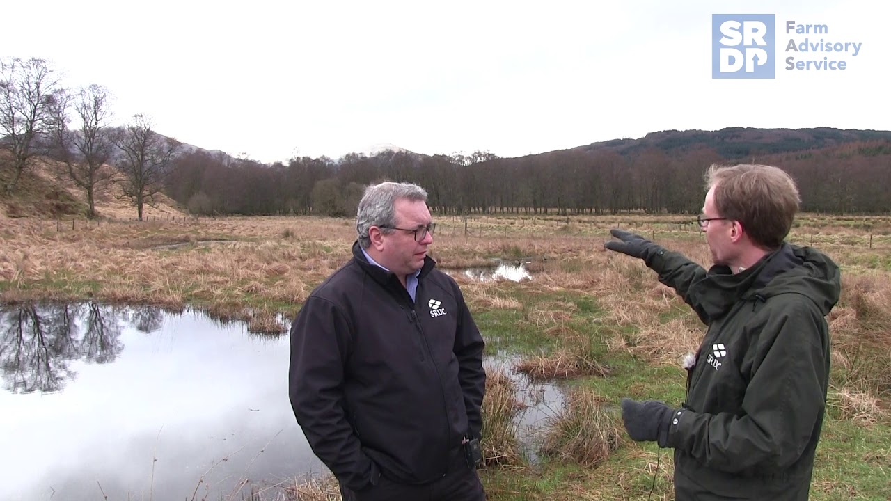 The benefits of wader scrapes in an upland farm - YouTube
