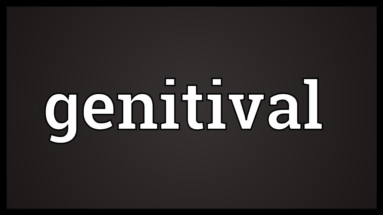 Genitival Meaning - YouTube